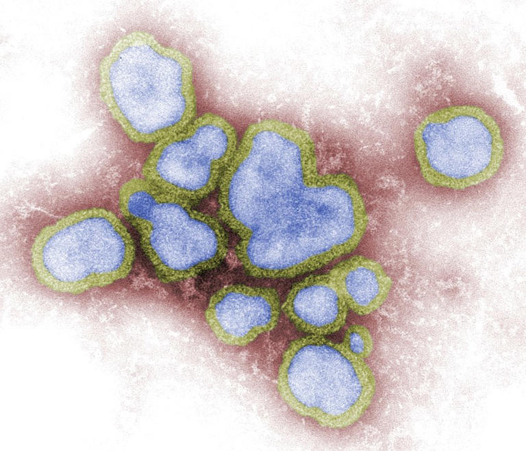 Flu kills two children in Michigan, state says