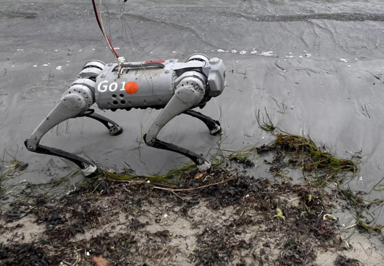Robots Have Trouble Walking in Mud. Giving Them Hooves Helps.