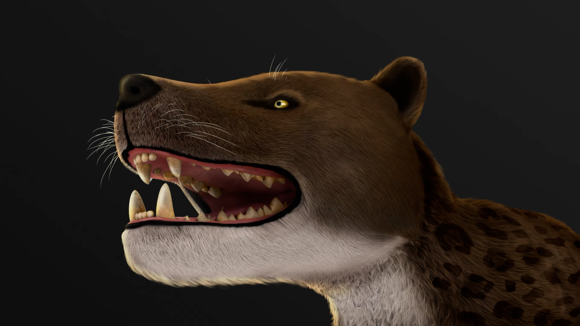 Scientists Construct 3-D Model Of Newly-Discovered Ancient Predator