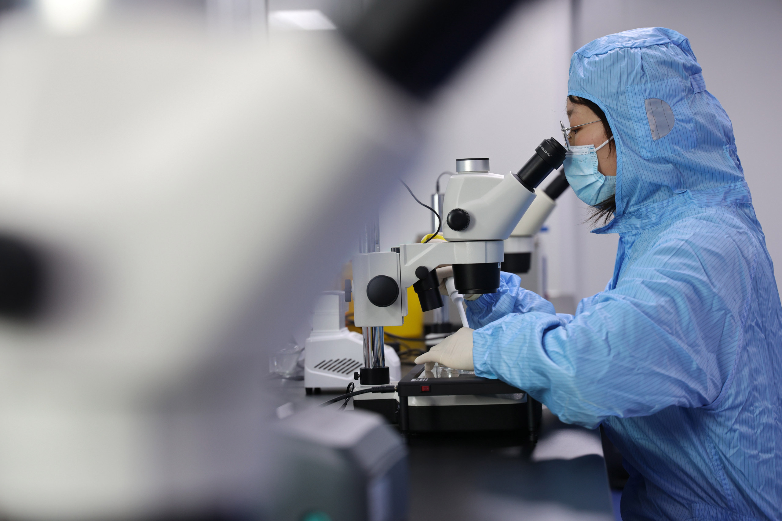Cos'è il test dei capelli e come può aiutare a individuare problemi di ... Cos'è il test dei capelli e come può aiutare a individuare problemi di ...