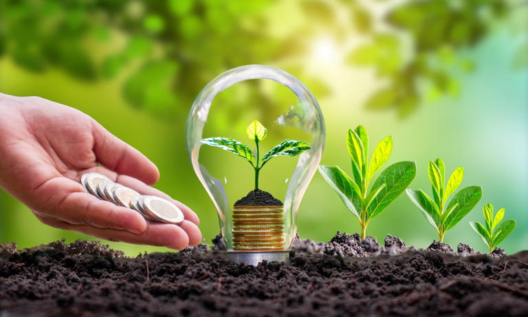 Circular economy: strategies for implementing