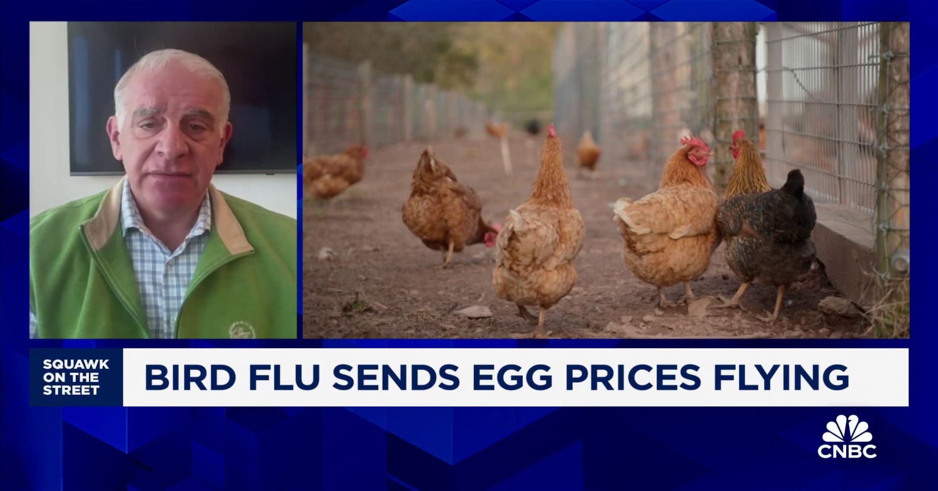 Pete & Gerry's Eggs CEO Tom Flocco: The run-up in egg prices is ...