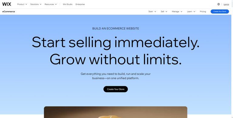 How to create an online store with Wix