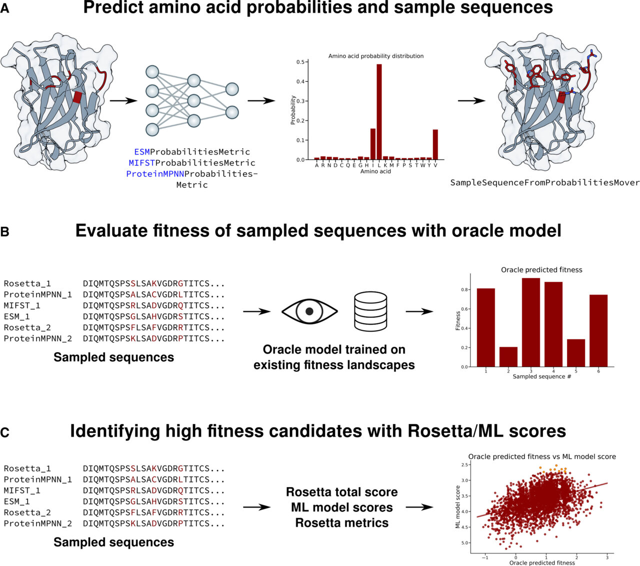 AI and biophysical modeling unite for novel protein design