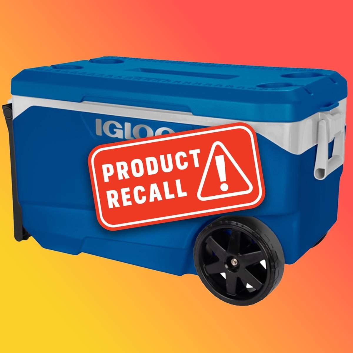 Cooler Recall: Igloo Recalls More Than a Million Coolers Over Fingertip ...