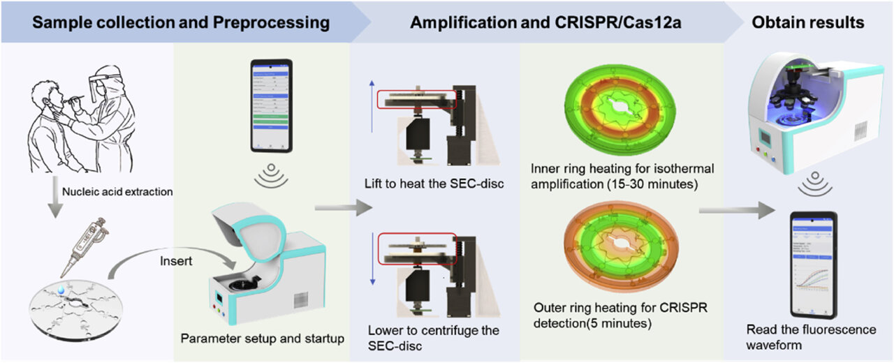 Analysis system enhances rapid pathogen detection with CRISPR technology