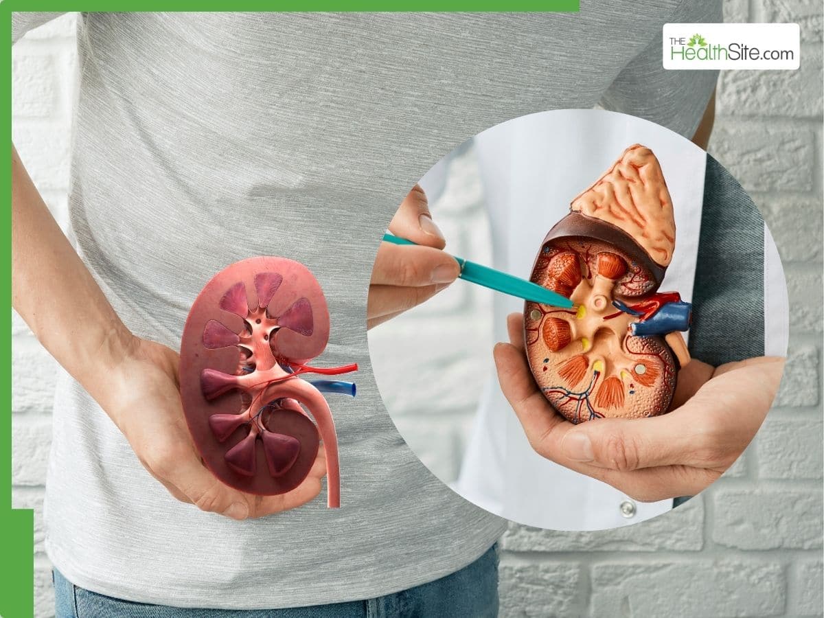 Kidney Damage Signs: 5 Body Parts That Pain When The Kidneys Are Damaged