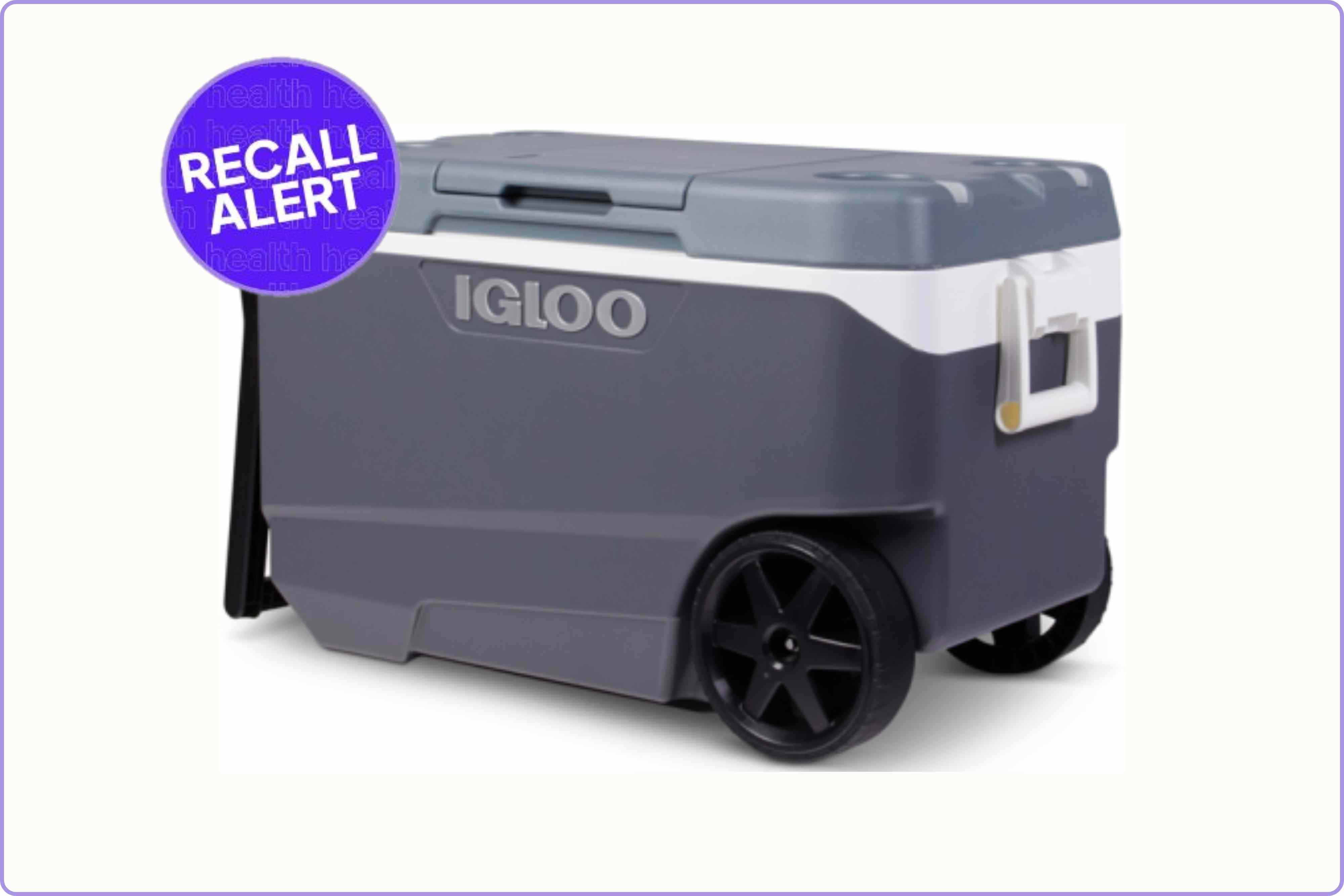 Over a Million Igloo Coolers Recalled Due to Risk of Finger Injury ...