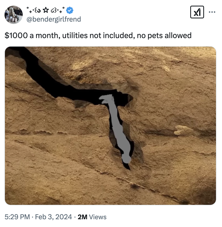 What's With The 'Cave Diver' Memes On TikTok And Instagram? The Videos ...