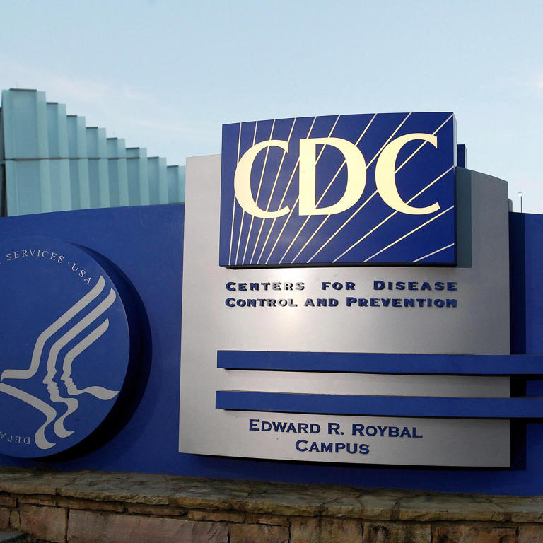 CDC's "disease detectives" halved as part of DOGE cuts at health agencies