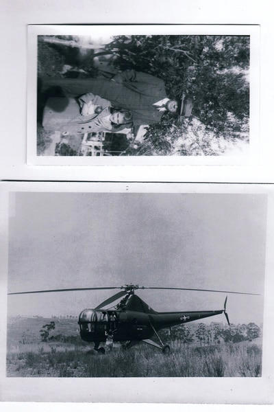 These Photos of a Young Patricia Altschul Take You Inside Her Glamorous ...