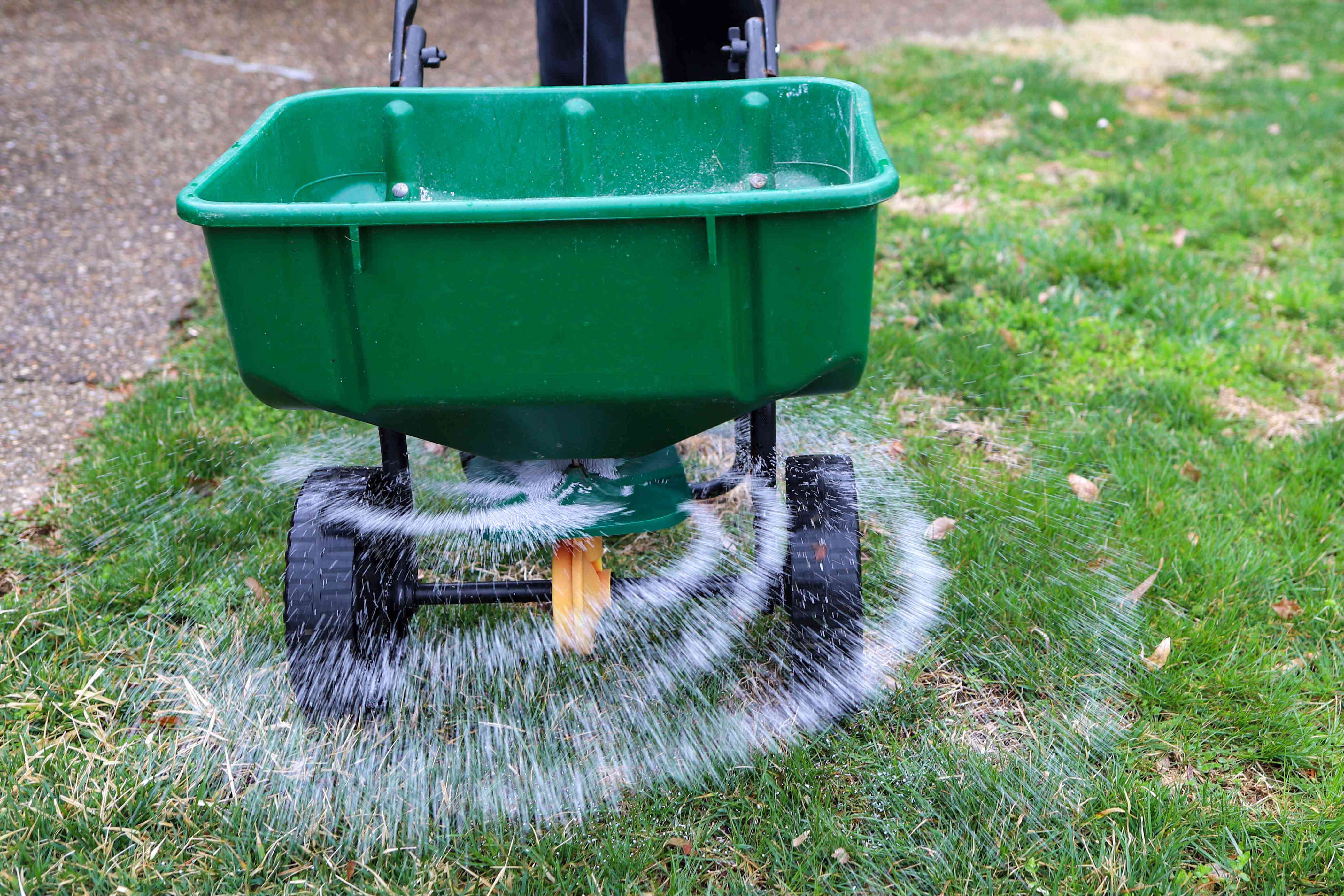 How To Overseed Your Lawn This Fall For A Healthier Yard By Spring