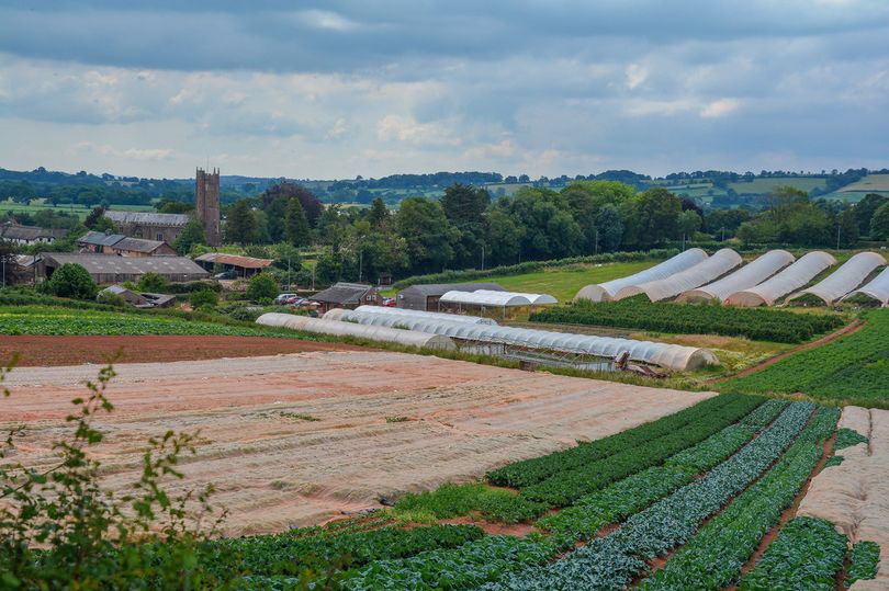 Devon towns and parishes urged to act now 'before it is too late'