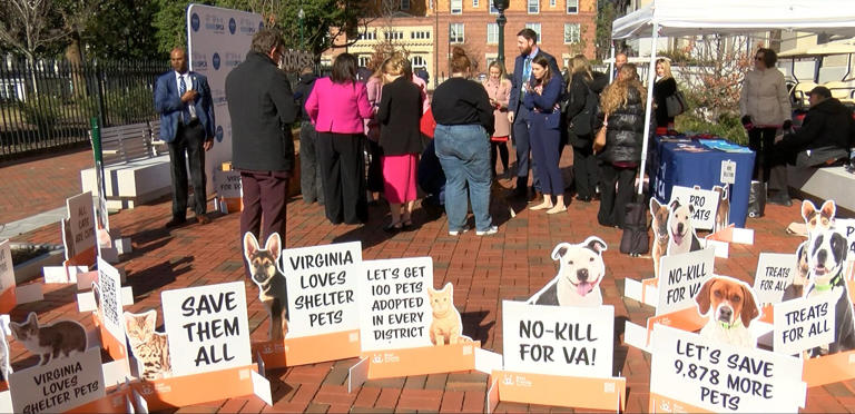 Celebration of Virginia’s no-kill shelters