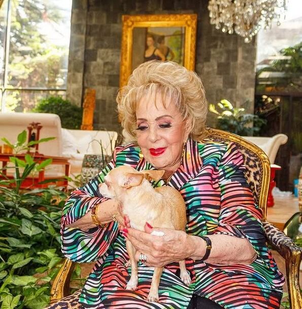 Restos de Silvia Pinal ya descansan en la cripta familiar