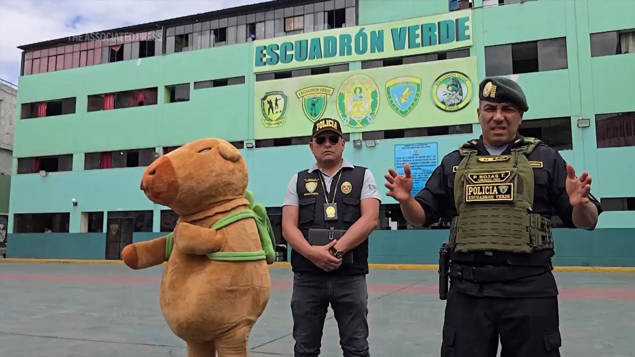 Peruvian police officer wears capybara costume disguise to make arrest ...