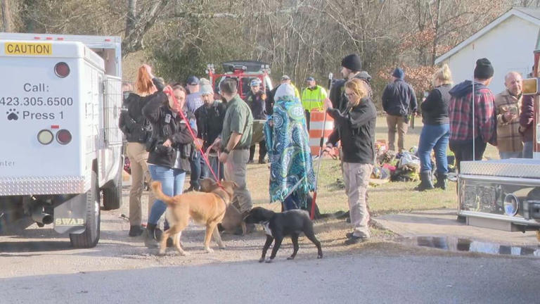 After rescue mission at Chattanooga encampment, homeless residents ...