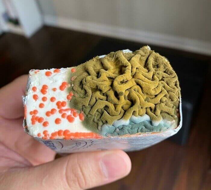 Interesting Things That Happen in the Home When Mold Takes Over