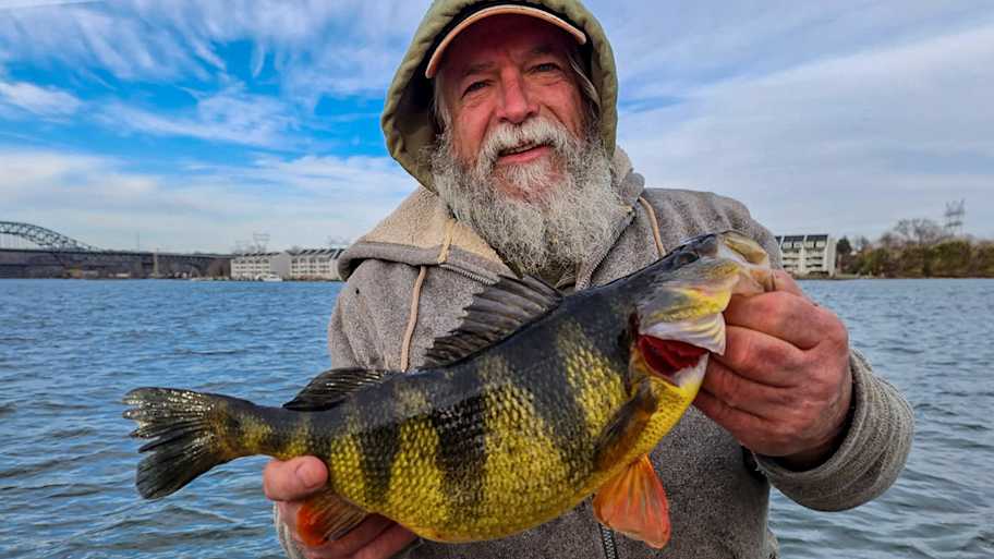 Angler Bests 45-Year-Old Perch State Record: It Looked Like a Yellow ...