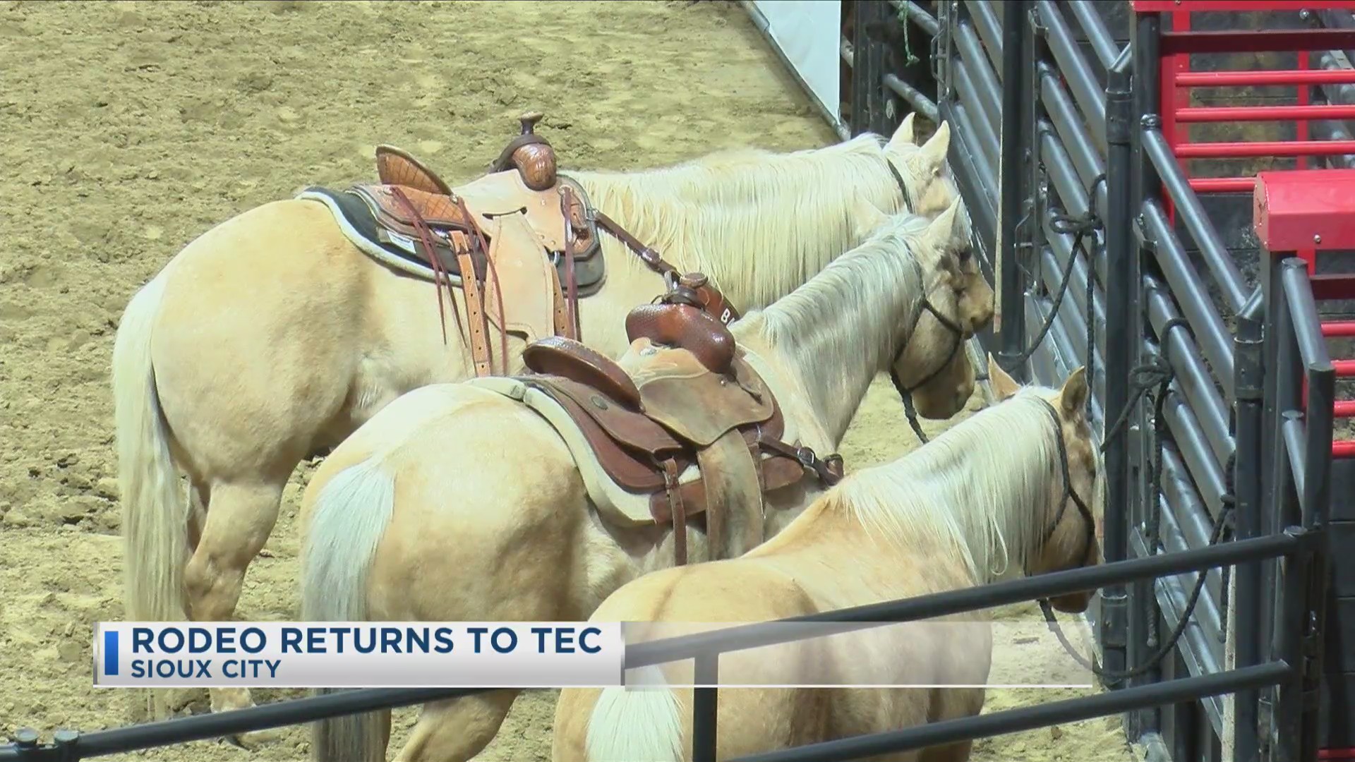 Rodeo Returns To Tyson Event Center