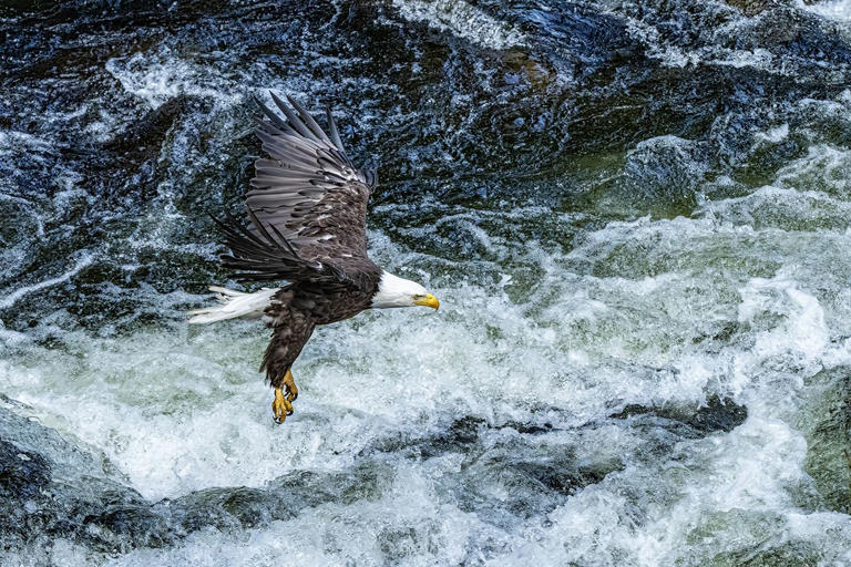 See the Glorious Beauty of Alaska With 15 Images From the Smithsonian ...