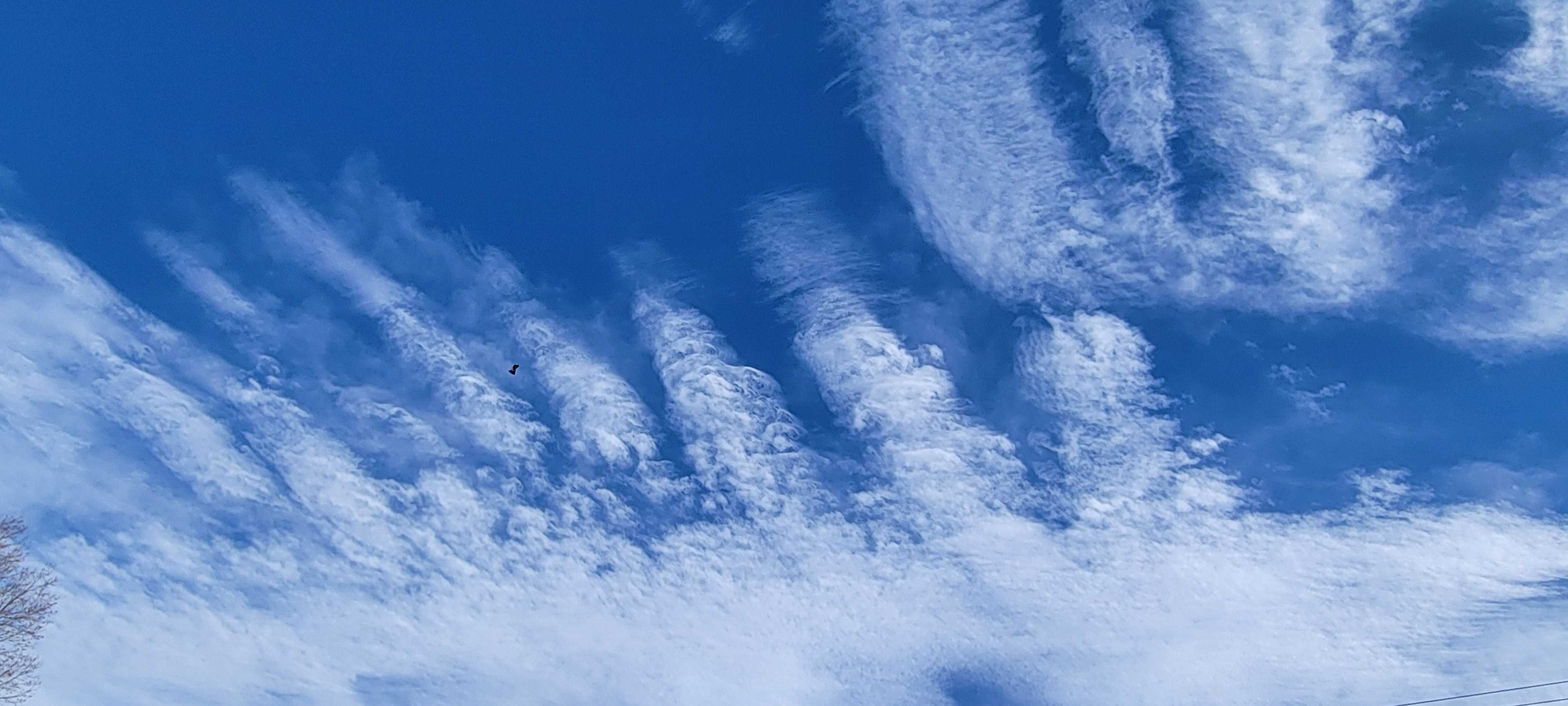 Cool clouds spoted over Wilkesboro, North Carolina! Did you see these?