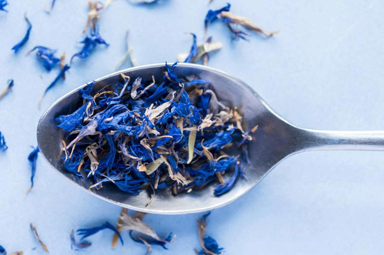 'Little known' blue tea that helps people reach 100 naturally slashes ...