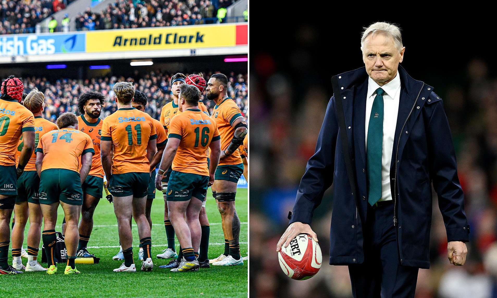 Joe Schmidt opens up on the real reason he had to quit the Wallabies ...