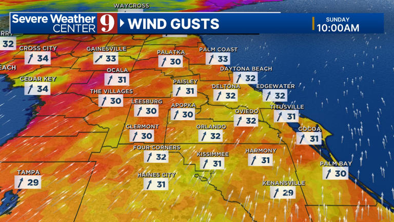 Warm and windy with rain conditions expected
