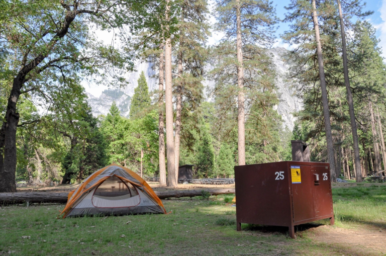 These Yosemite campgrounds will close for a month during peak season