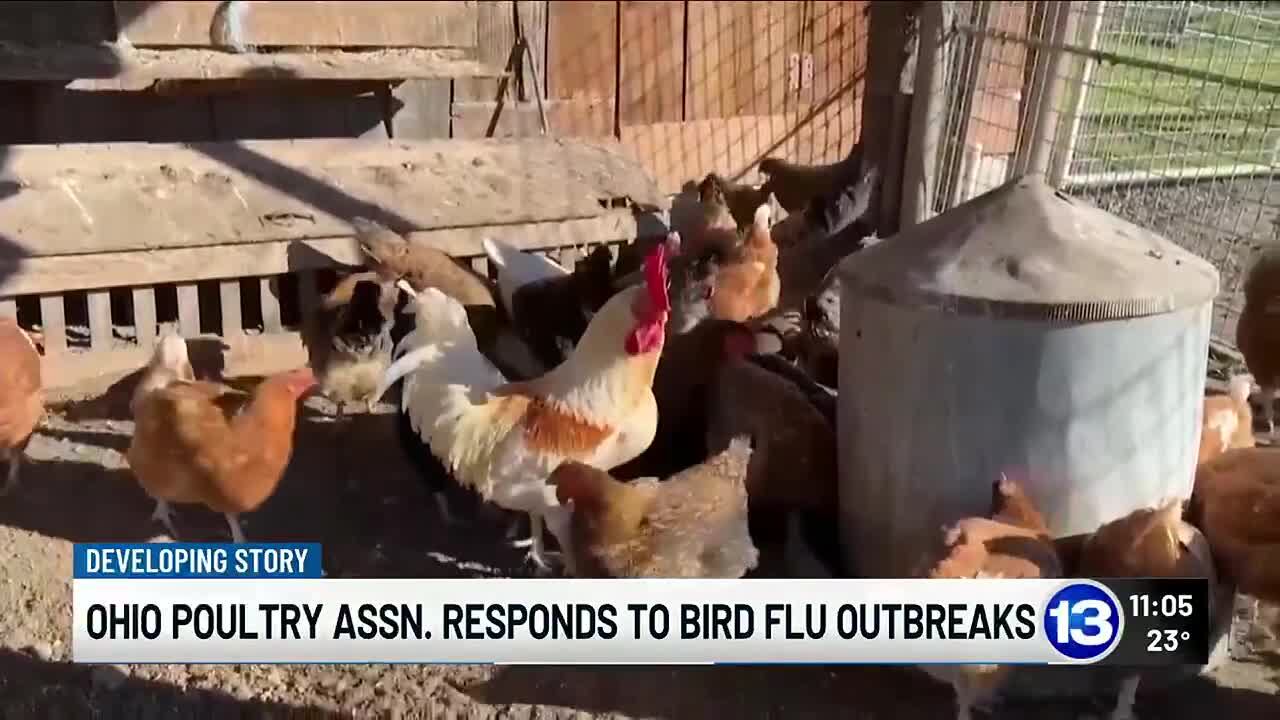 Ohio Poultry Association responds to outbreaks of bird flu