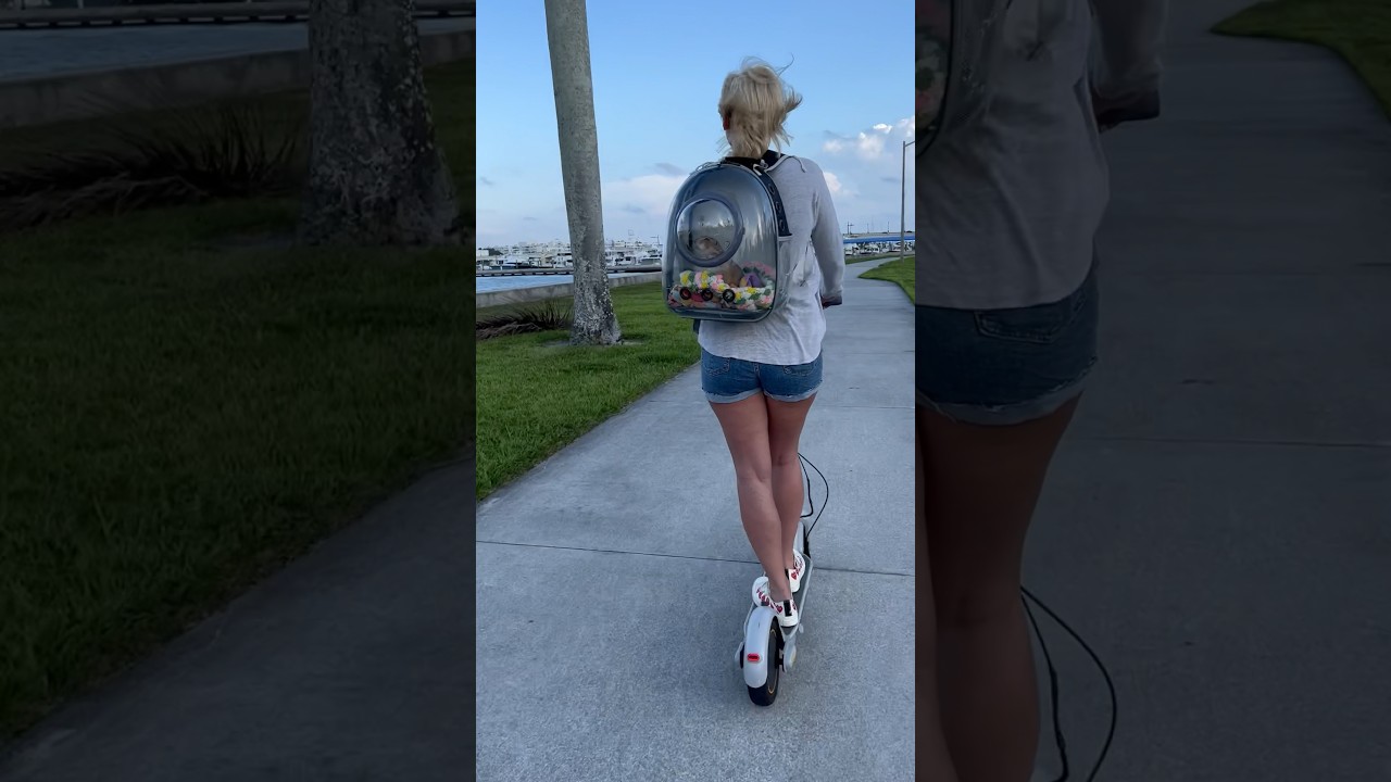 Prairie dog Poppy tags along for a scooter ride