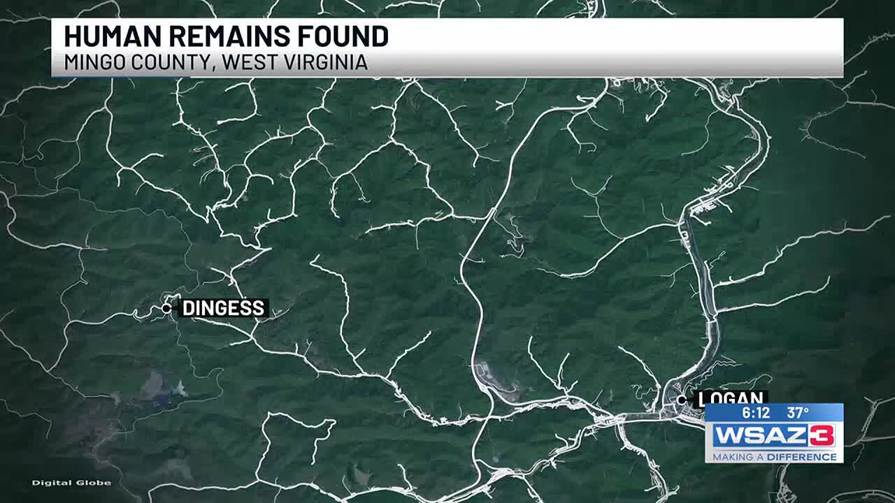 Human remains found in Dingess