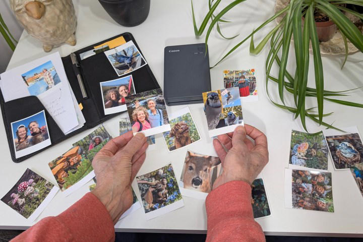 Canon Selphy QX20 review: a fun, portable printer with photo-quality prints