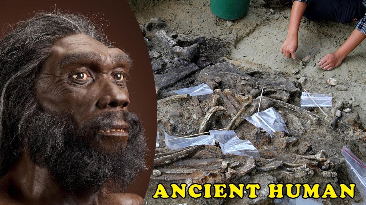 🦴 700,000-Year-Old Human Evidence Found in the Philippines! HISTORY ...