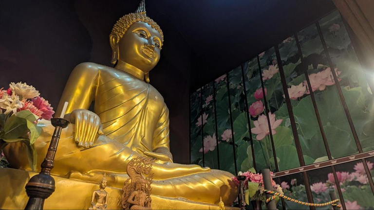 Miami Dolphins release former Washington Commanders veteran cornerback