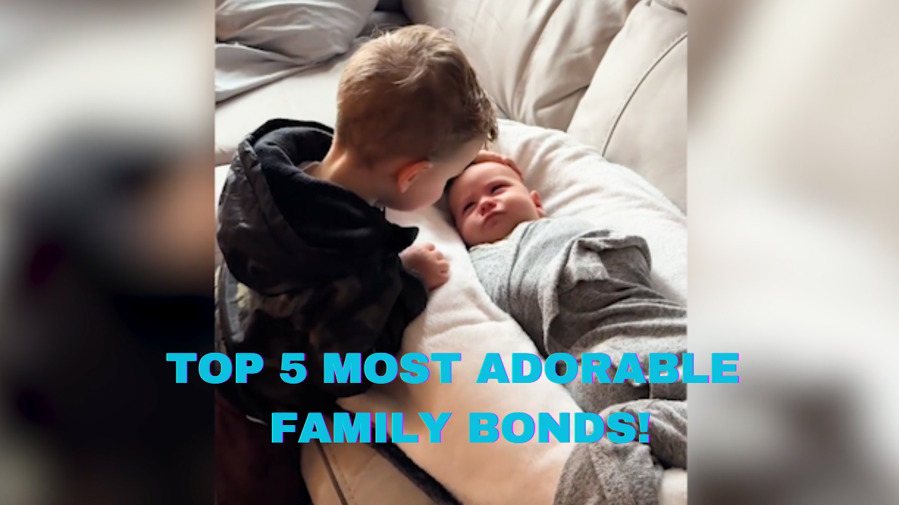 How These 5 Families Built the Strongest Connections