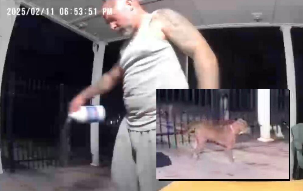 Sandy Springs man stabbed fiancée’s dog to death, poured Clorox on it ...