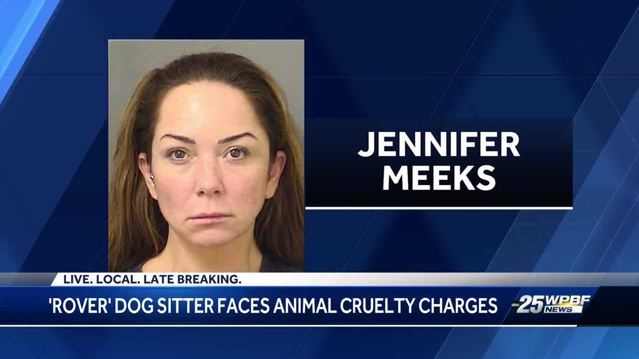 Boca Raton dog sitter charged with animal cruelty after dog found with ...