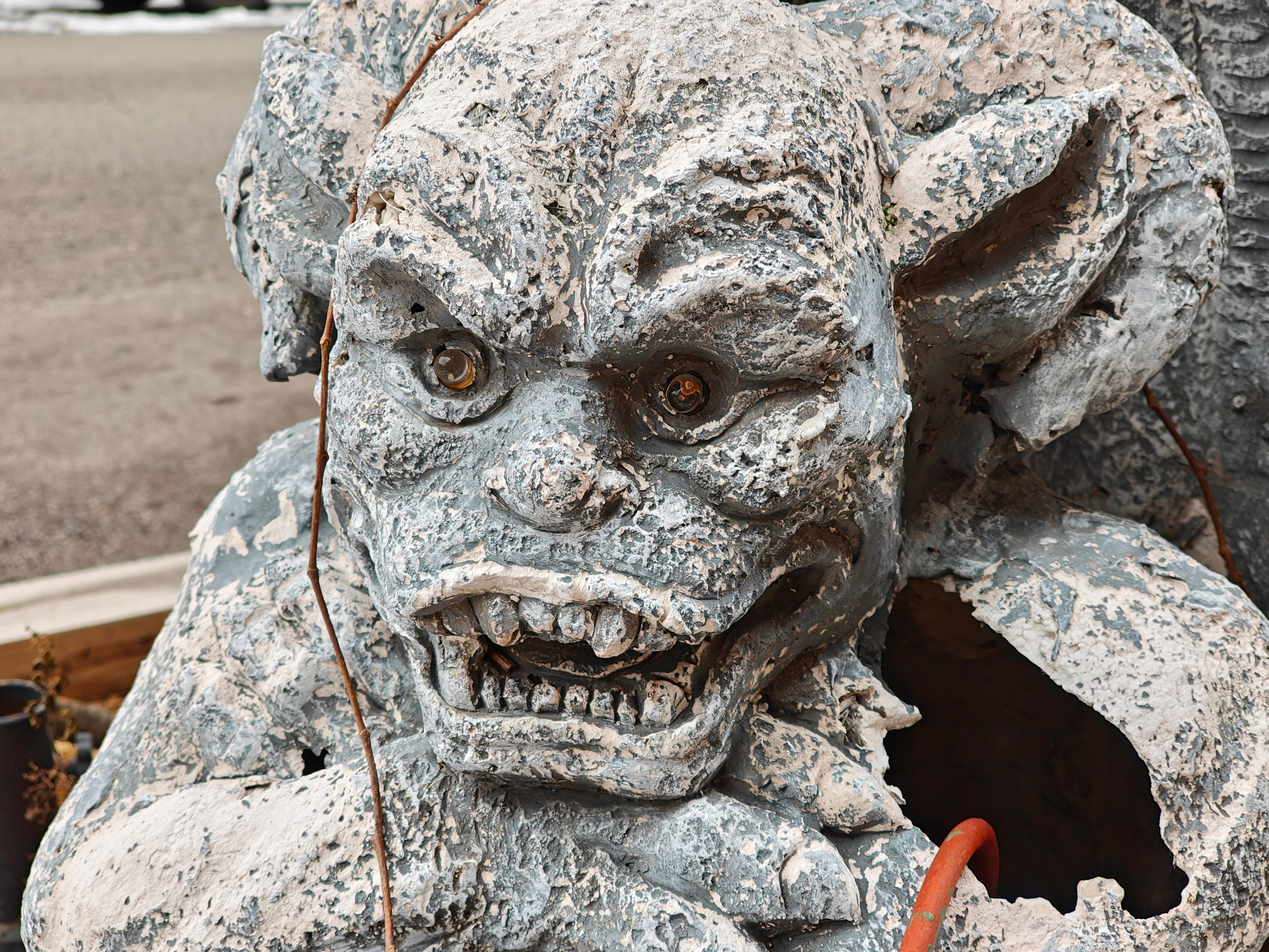 OnePlus 13R – Camera Samples