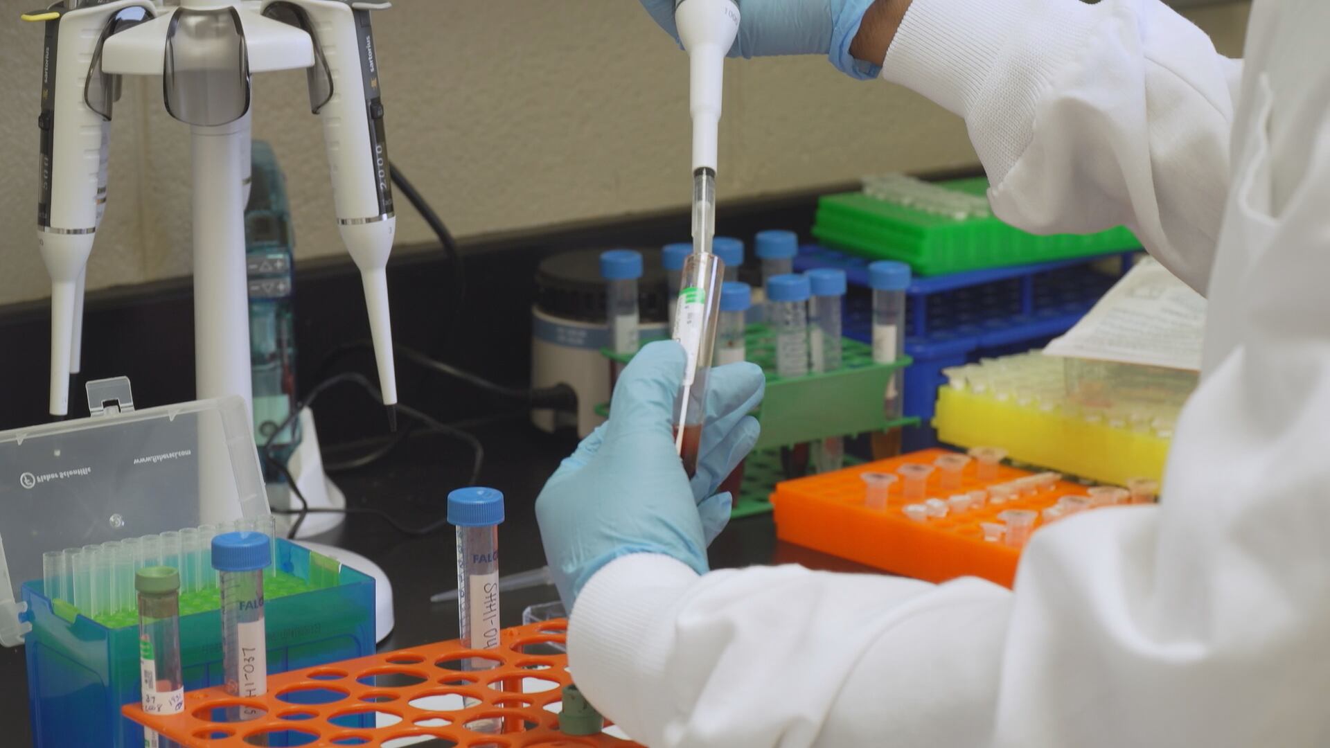 Fit and Well: Phlebotomist Recognition Week