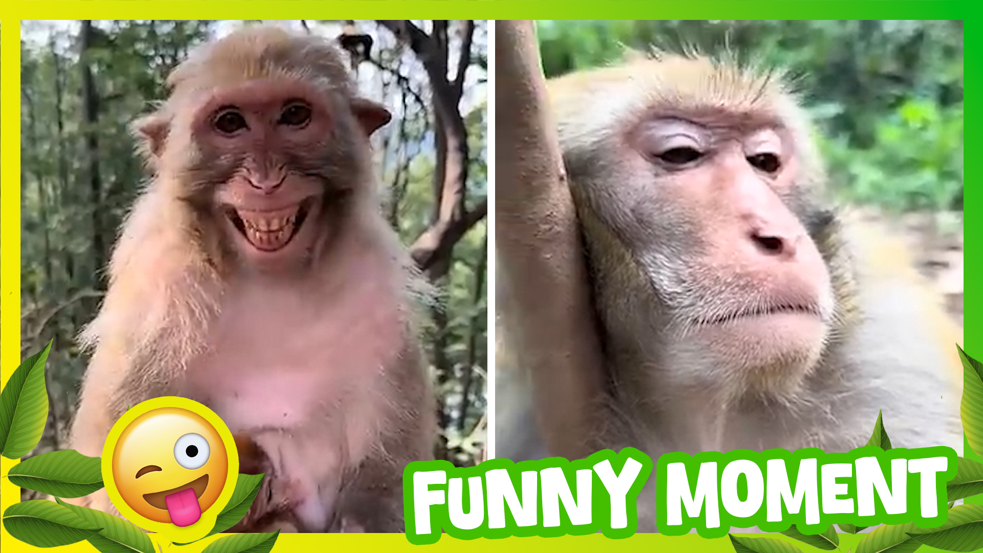 Funny Moments Compilation: Hilarious Clips to Make You Laugh! 😂🎉