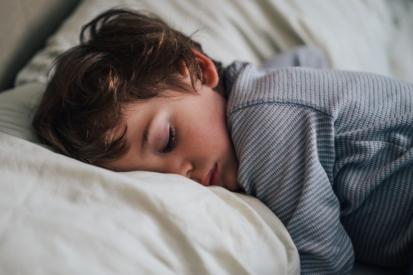 'I'm a mum – there's hidden Amazon Alexa feature which always helps my ...