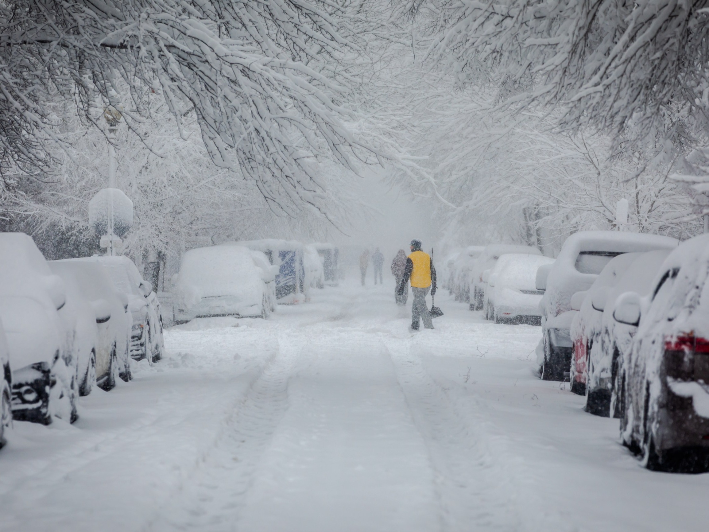 W tym roku czeka nas prawdziwa zima? Meteorolodzy nie mają złudzeń