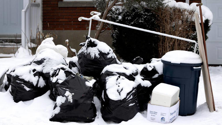 What does our garbage say about us?