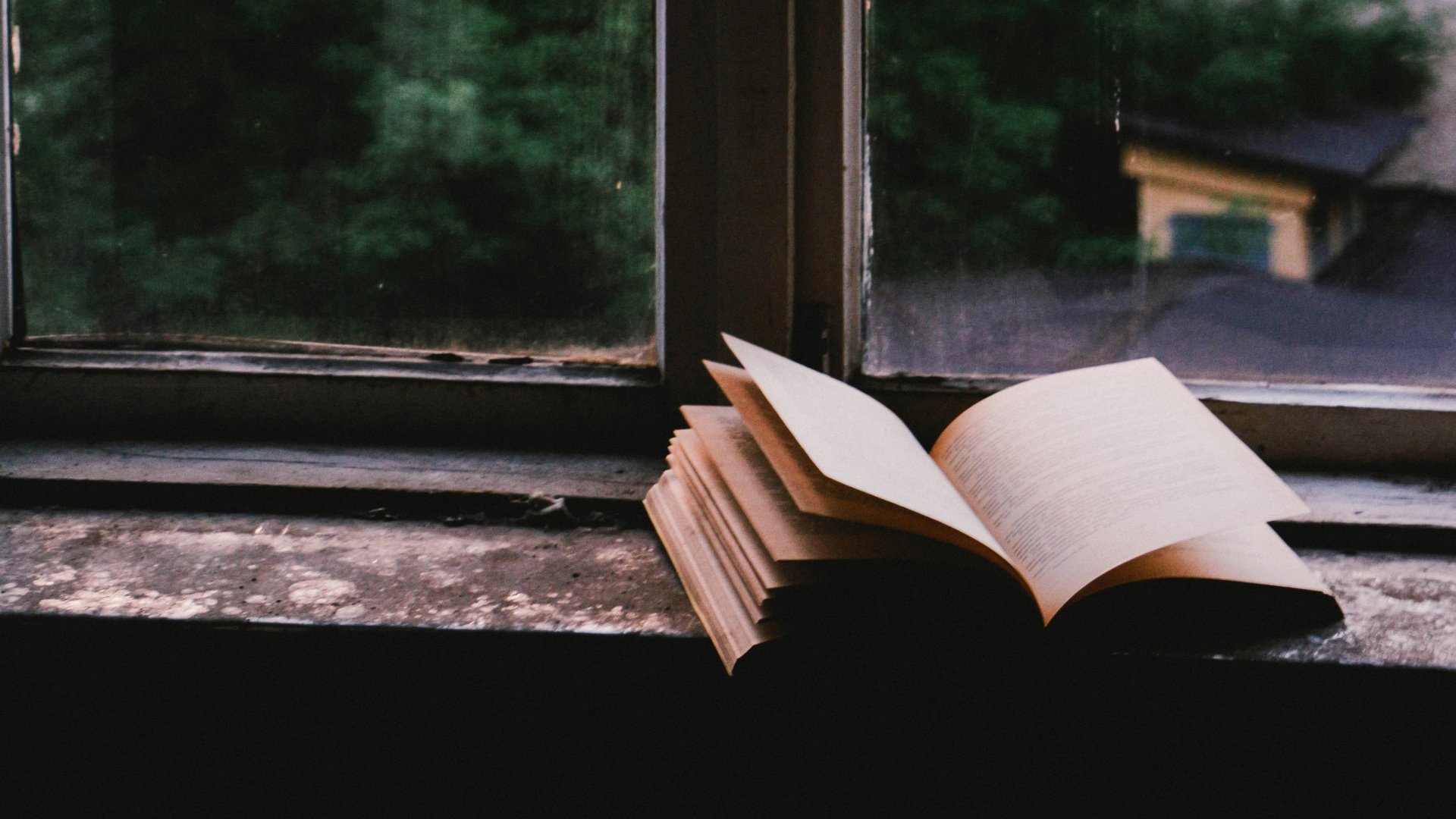 6 female crime novelists and their most iconic thrillers you should ...