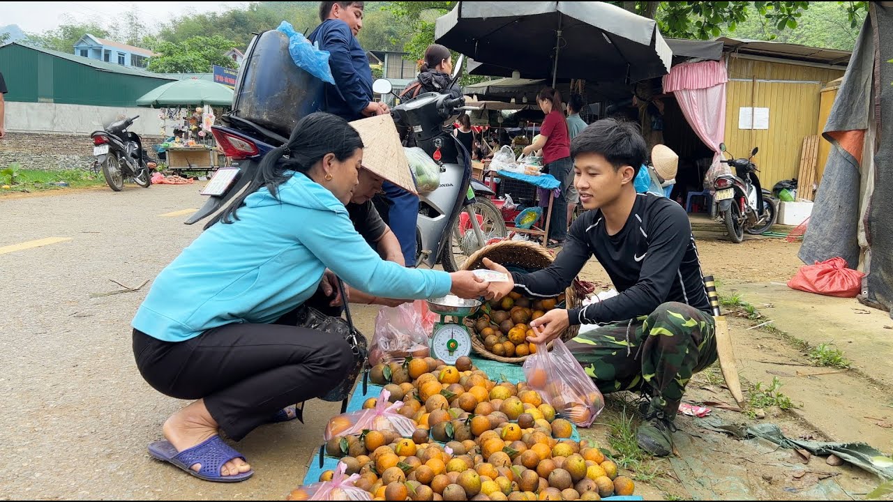 Harvesting Mountain Oranges After 2 Years Off-Grid! 🍊🌄
