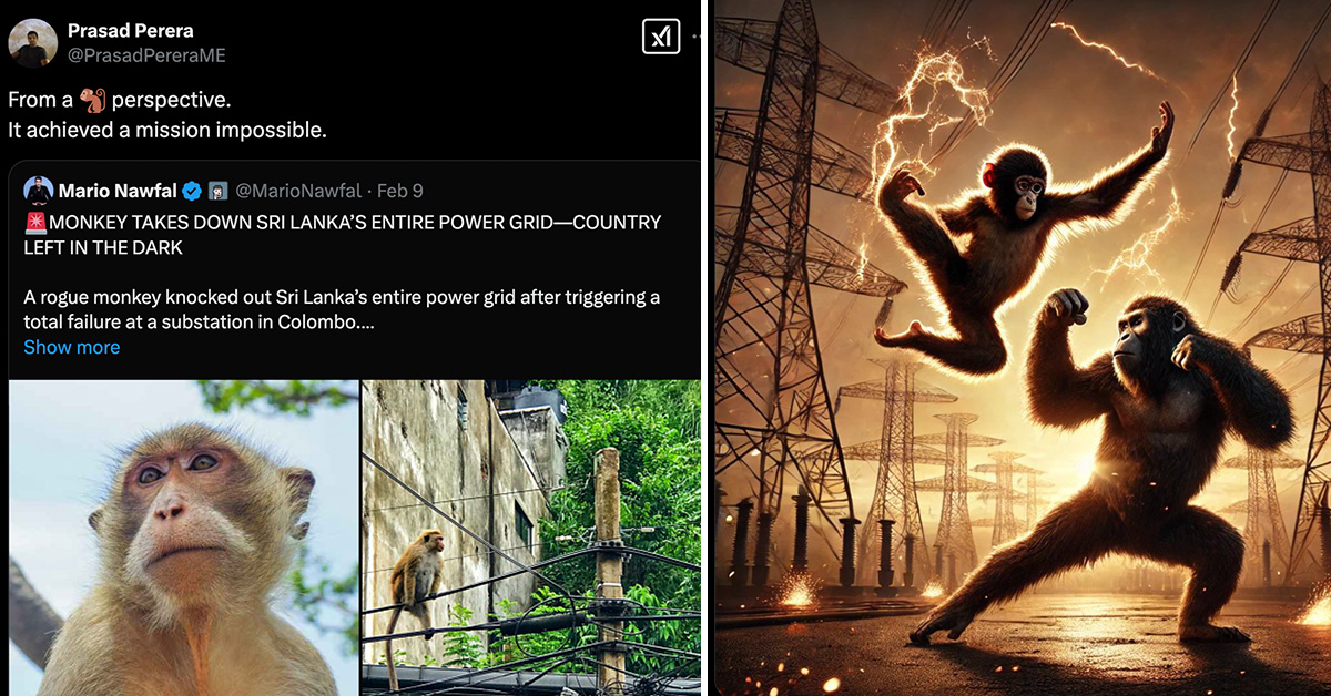 26 Tweets and Reactions to the Monkey Who Caused a Nationwide Blackout