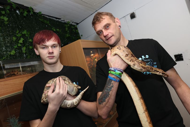 Inside new exotic reptile sanctuary with snakes, geckos and spiders