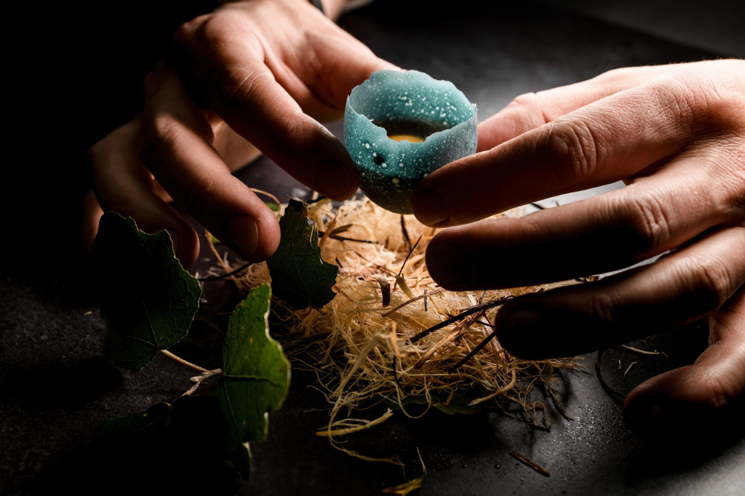 Molecular gastronomy: the science behind the art of cooking